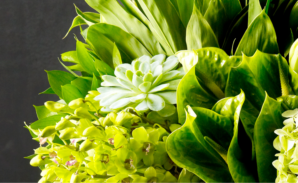 DAN TAKEDA FLOWER & DESIGN – DAN TAKEDA FLOWER AND DESIGN