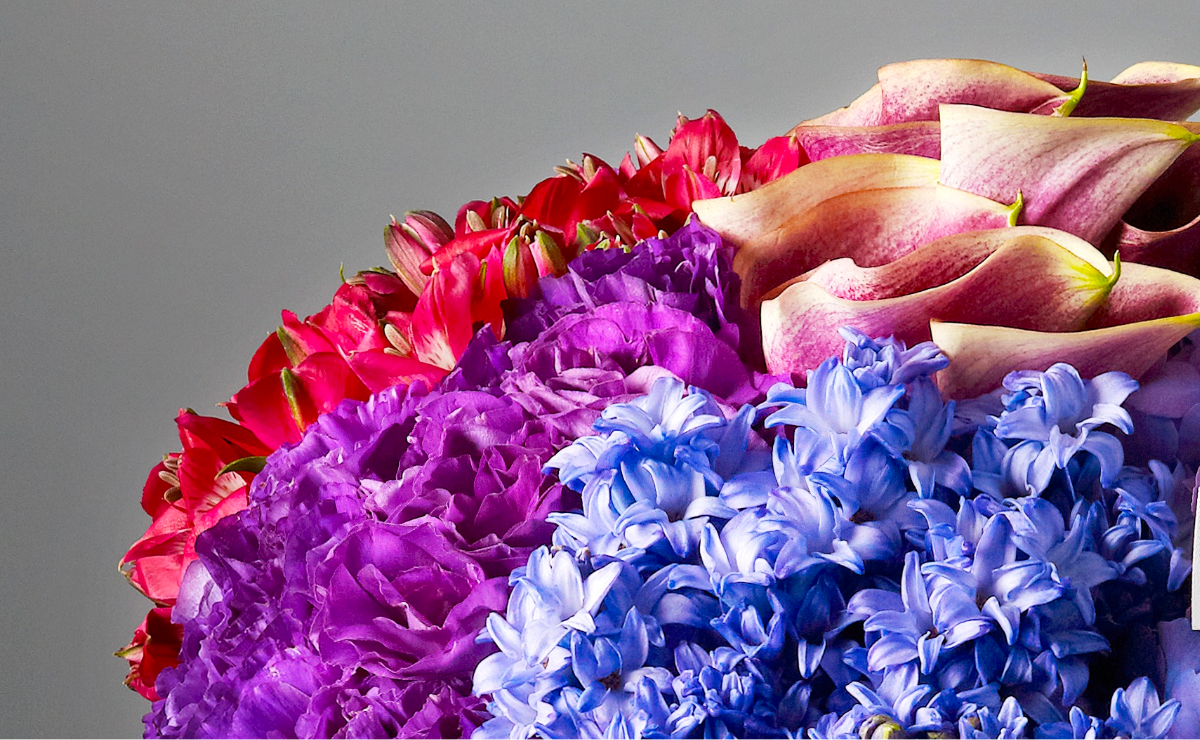 DAN TAKEDA FLOWER & DESIGN – DAN TAKEDA FLOWER AND DESIGN